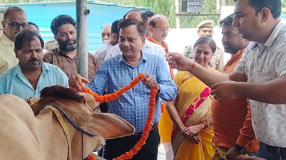 अमरोहा डीएम ने जन्माष्टमी पर गौशाला पहुंचकर की गायों की पूजा, गुड़ ...