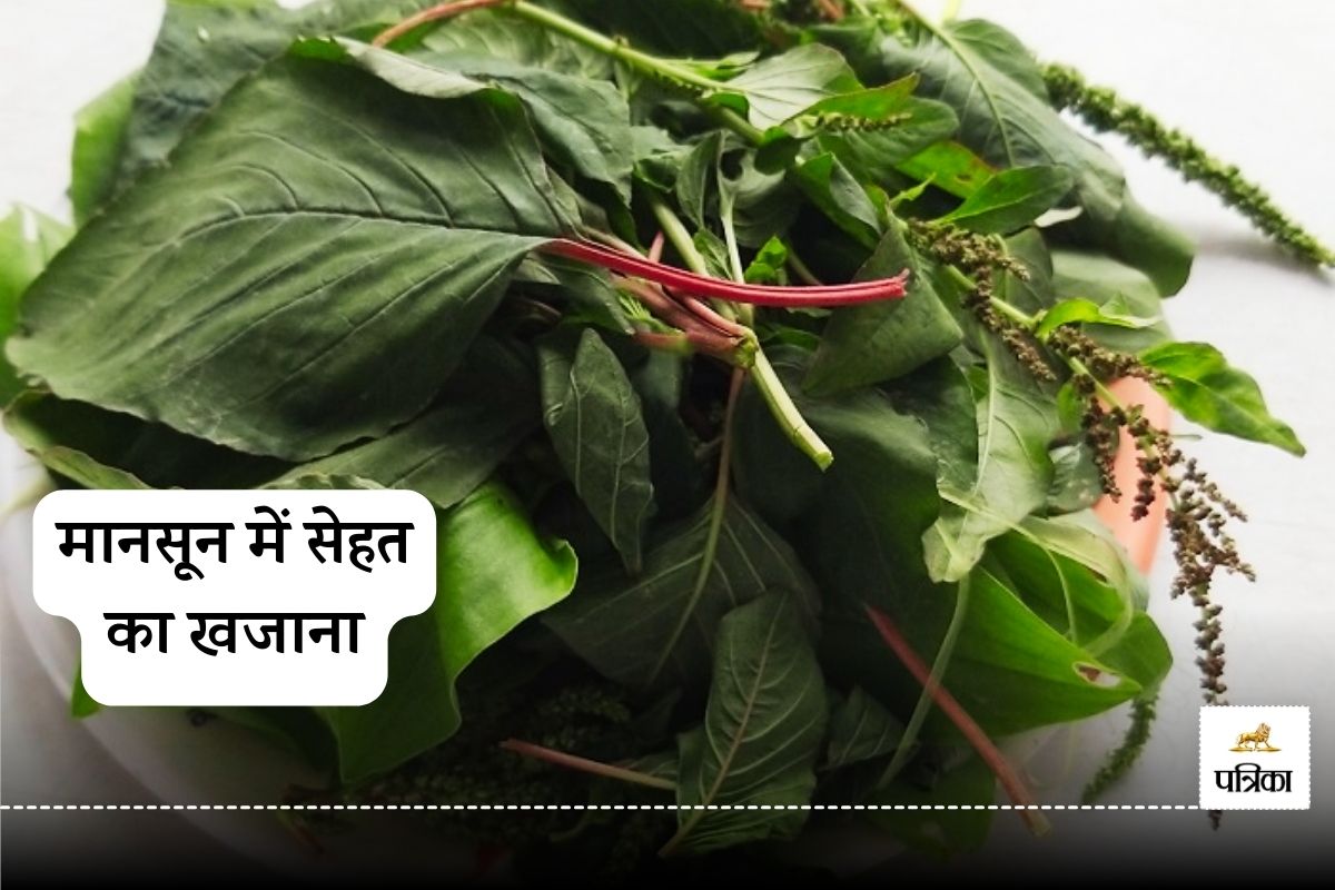 बरसात के मौसम में सेहत का खजाना है ये साग , शरीर को बना देता है फौलादी ...