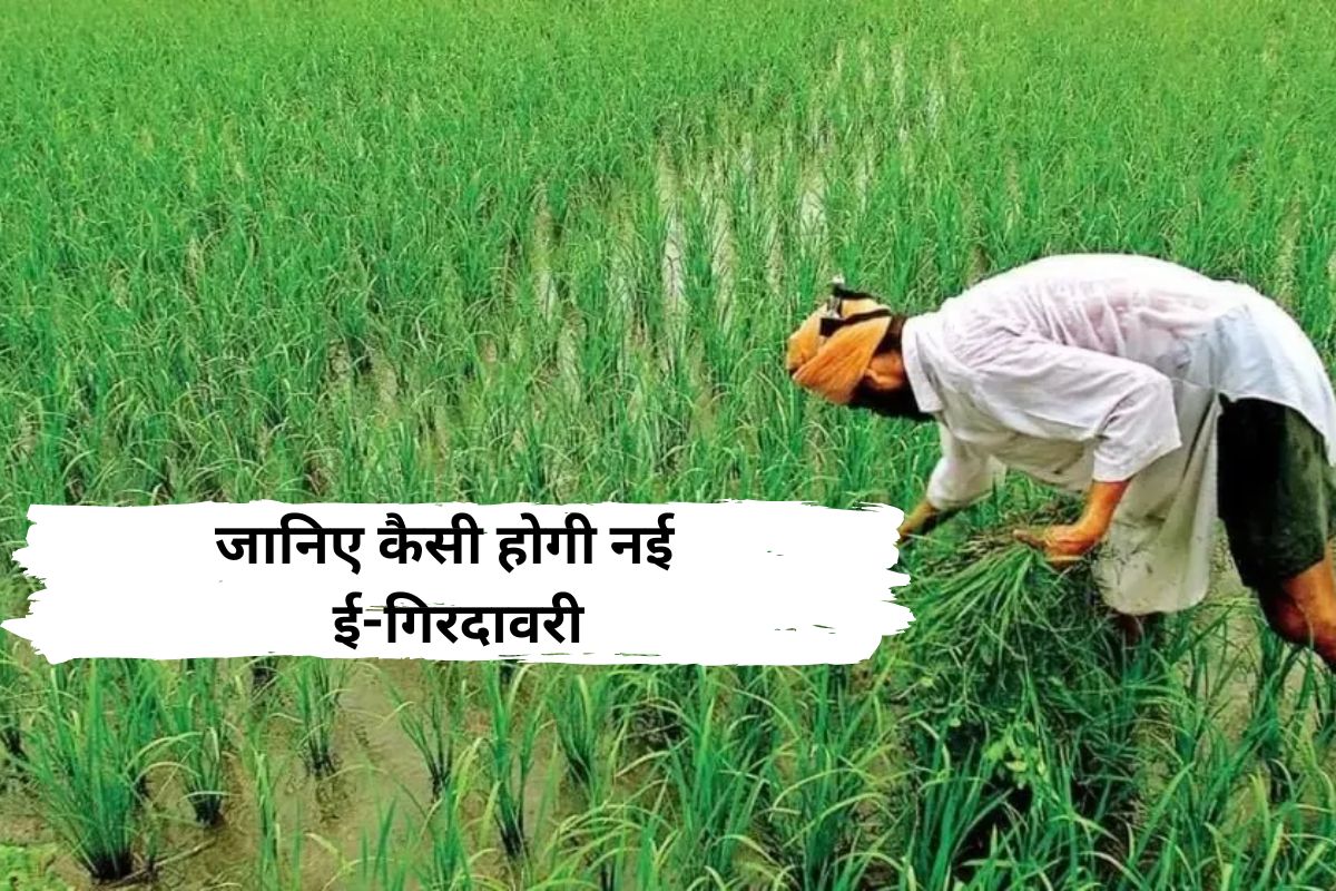 E-Girdawari Rajasthan: पारम्परिक गिरदावरी से अलग होगी नई ई-गिरदावरी, 15 ...