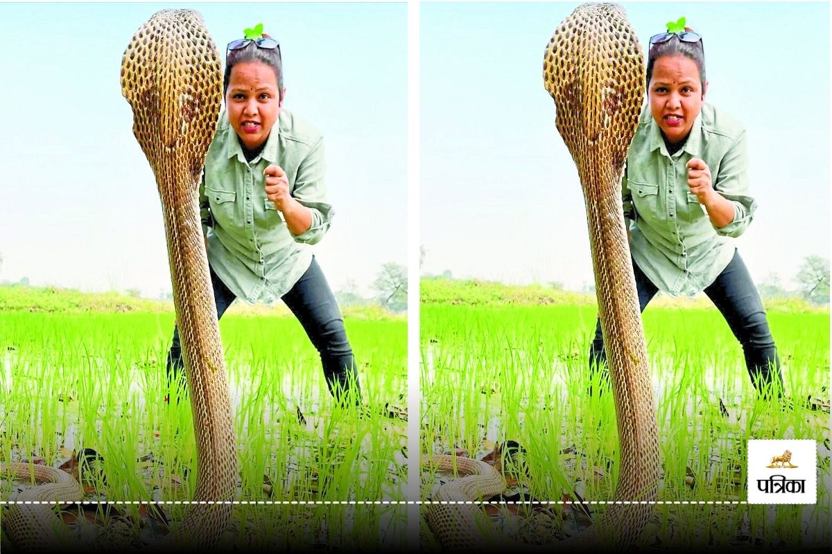 CG snake catcher: दो बार कोबरा ने डसा, आरती ने फिर भी नहीं हारी हिम्मत ...
