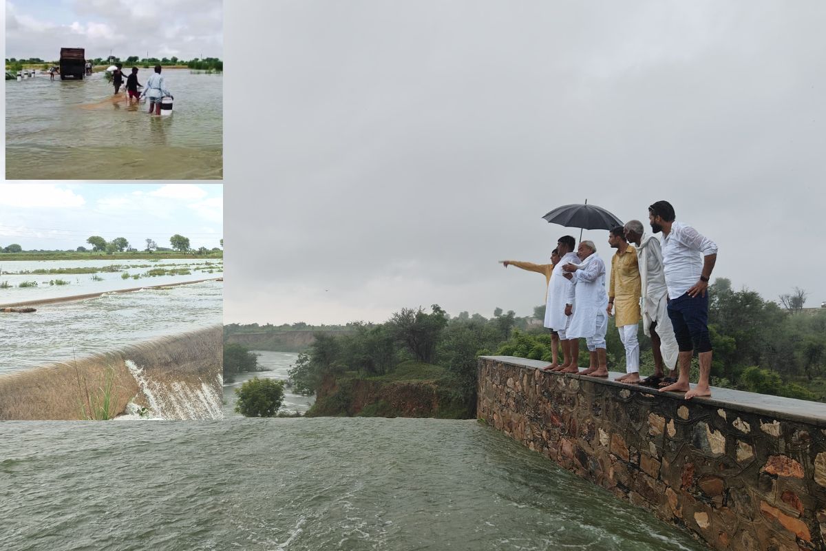 Morel Dam: मोरेल बांध में पानी की बंपर आवक से उफान पर ये नदी, देखने के ...