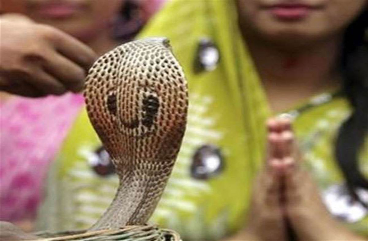 नाग पंचमी पर सिद्ध और साध्य योग का संयोग कालसर्प दोष निवारण के लिए होगी ...