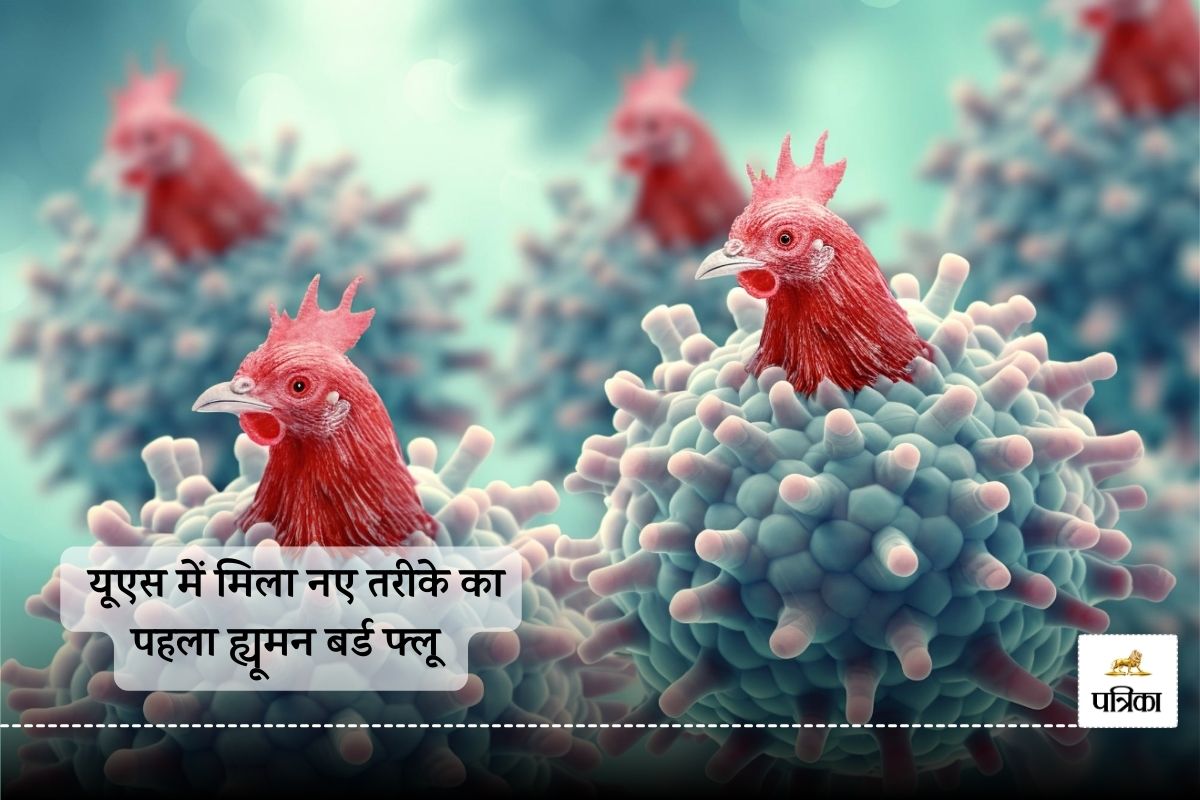 Human Bird Flu Virus : अब इस वायरस ने दुनिया में बढ़ाया अपना खौफ, यूएस ...