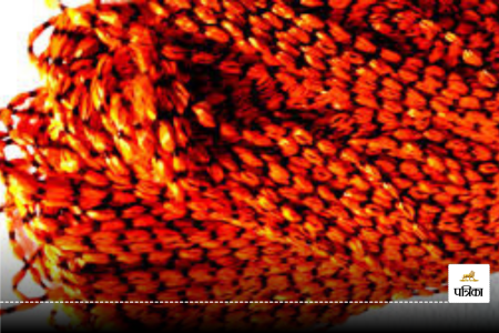 अनंत सूत्र बांधते समय जरूर जपें यह मंत्र, पूजा में इस प्रार्थना से ...