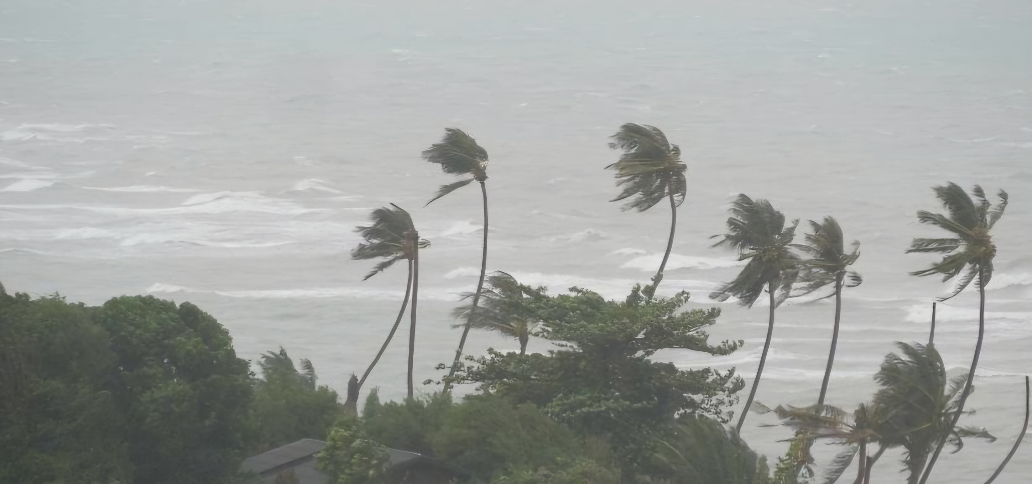 Cyclone ‘Fengal’: चेन्नई में ऊंची लहरें, IMD ने तमिलनाडु, पुडुचेरी ...