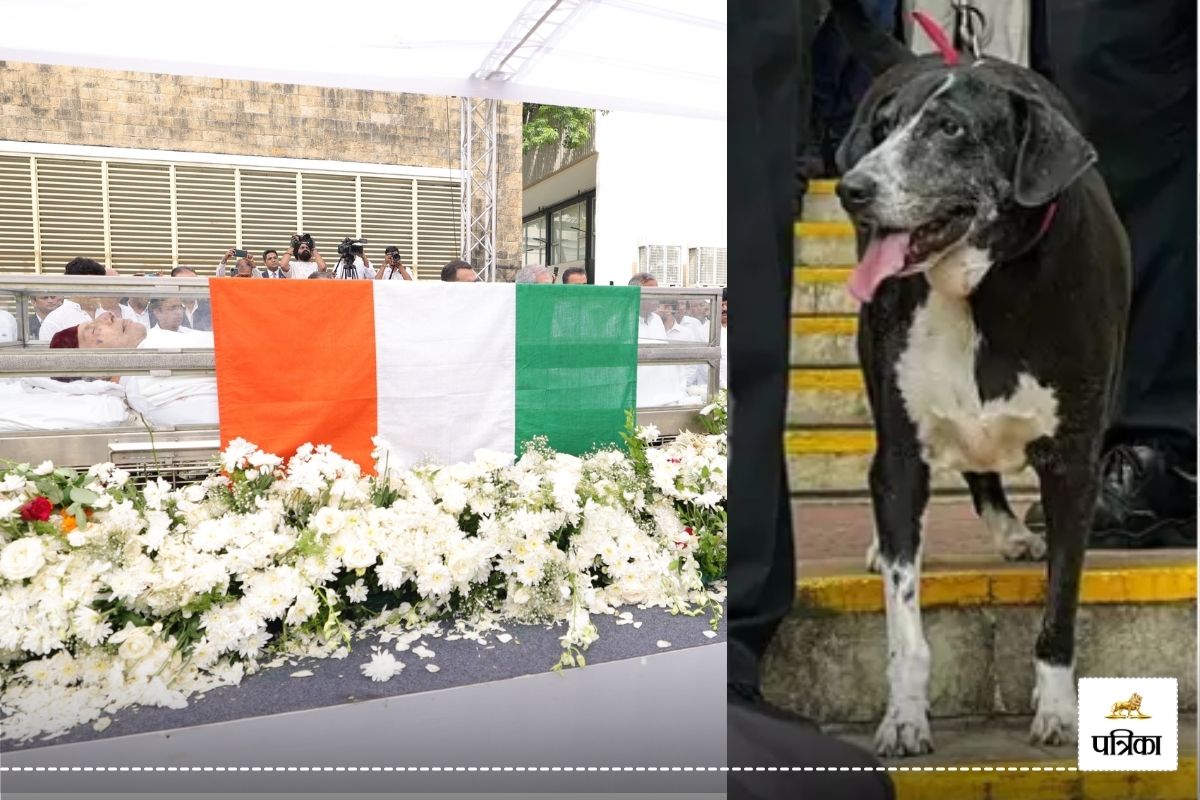 भीड़ के बीच रतन टाटा को श्रद्धांजलि देने आया उनका चहेता ‘गोवा’, भावुक ...