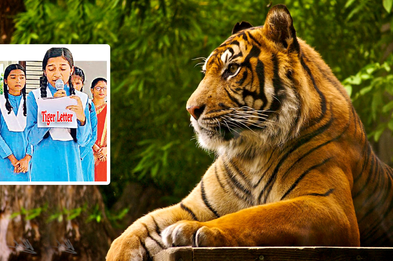 टाइगर ने बच्चों को लिखा खत, स्टूडेंट्स को समझाया बाघ और वन्य जीवों से ...