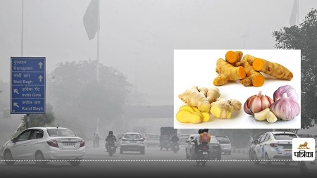 Pollution prevention tips : हल्दी, अदरक और लहसुन से बढ़ाएं इम्यूनिटी ...