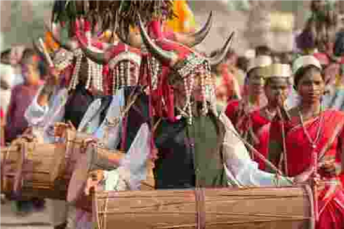 Raut Naacha Mahotsav: 46 साल से पारंपरिक लोक नृत्य की छटा बिखेर रहे ...