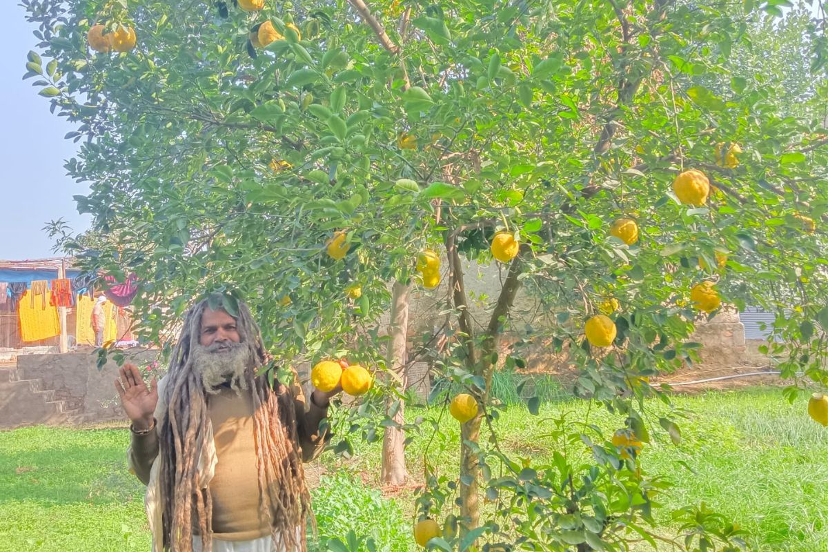 पत्थरी, ह्रदयरोग जैसी बीमारियों में कारगार साबित होती है नींबू की ये ...