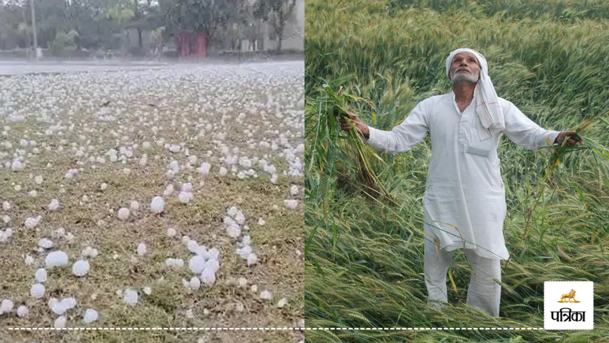 यूपी के कई जिलों में हुई बारिश, ओले गिरने से किसान चिंतित, गेहूं की फसल ...