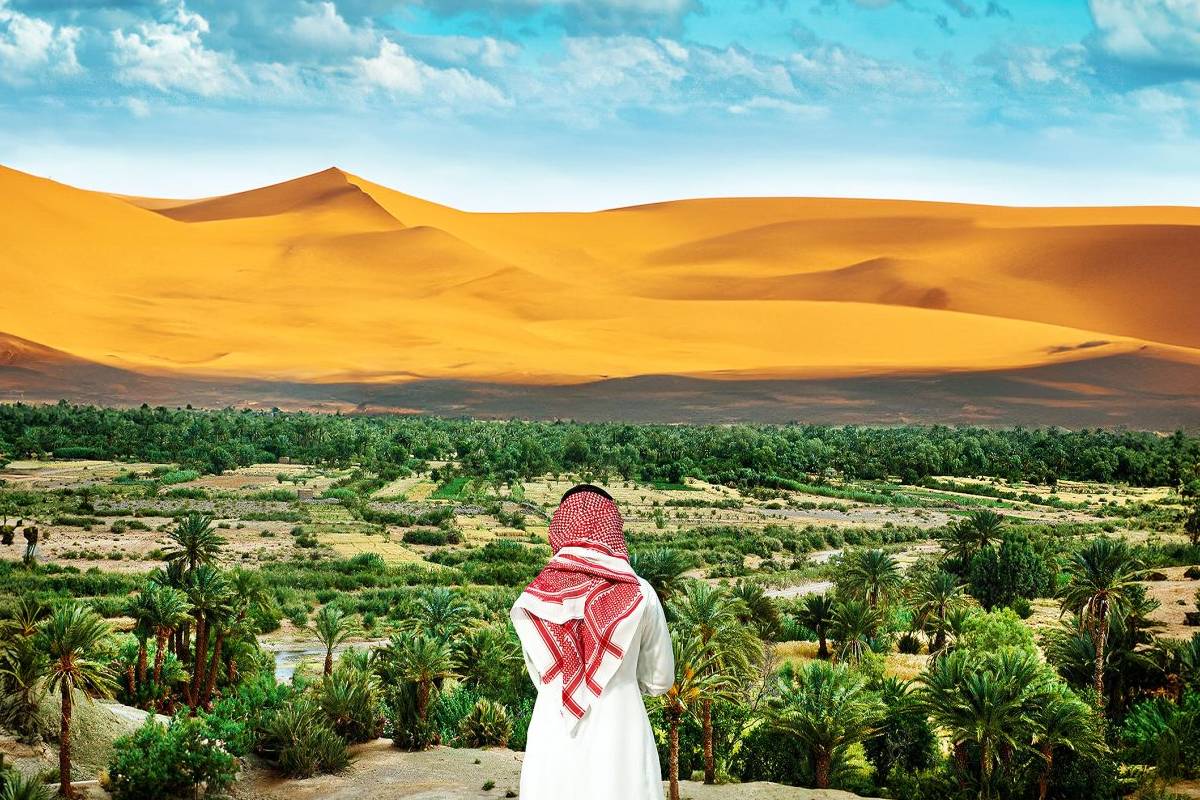 क्या 10 बिलियन पेड़ लगाने से हरा-भरा हो जाएगा सऊदी अरब का रेगिस्तान ? आख़िर क्या है चिकन खाद ...