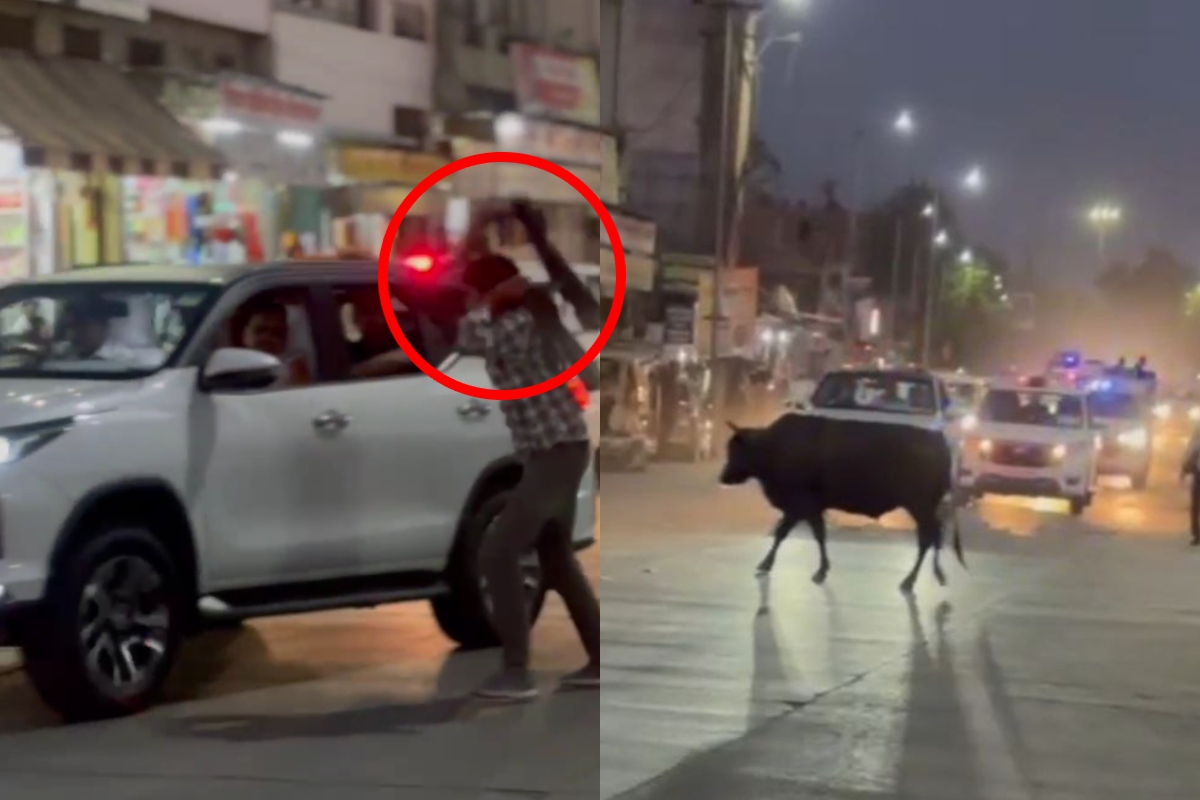 सीकर में CM भजनलाल की सुरक्षा में बड़ी चूक, युवक ने दिखाया काला झंडा ...