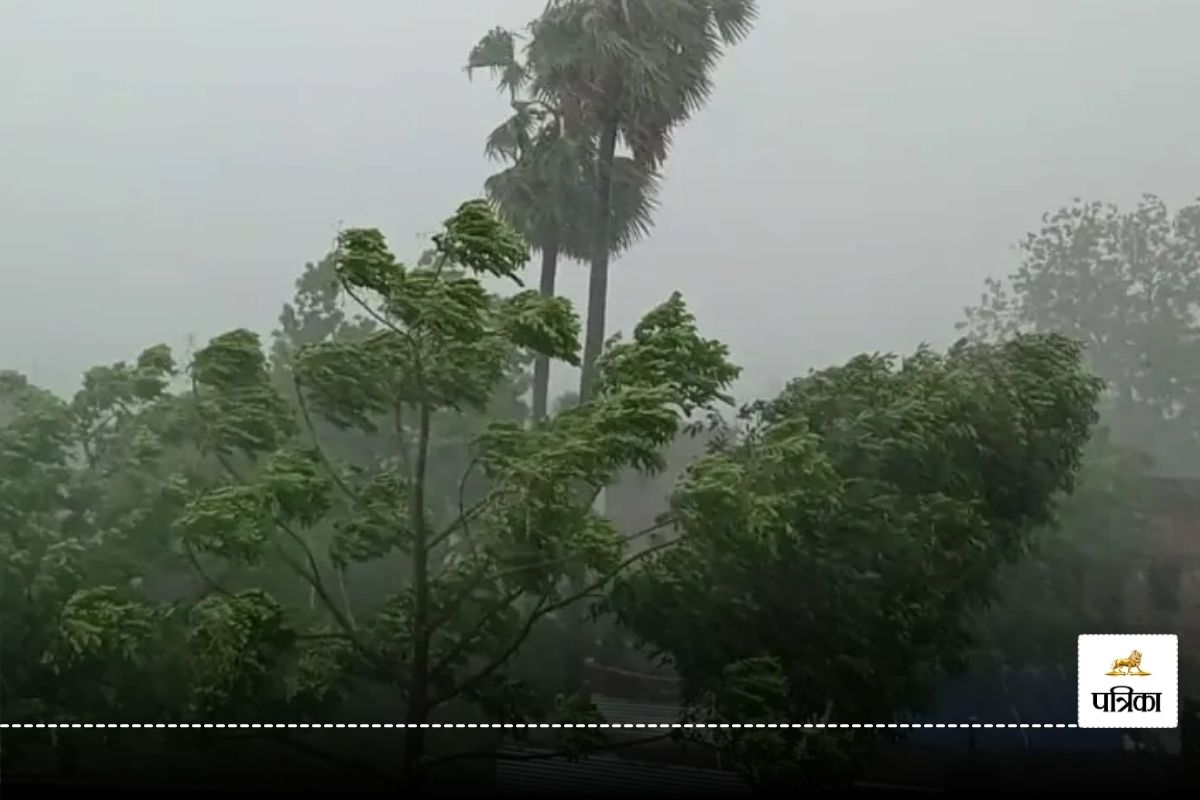 CG Weather News: अगले 5 दिनों तक अंधड़ व बारिश का दौर जारी, पिछले साल का टूटेगा रिकॉर्ड | CG ...