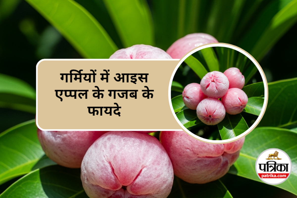 Benefits of Ice Apple : चिलचिलाती धूप में ‘ताड़गोला’ है आपका सुपरहीरो ...