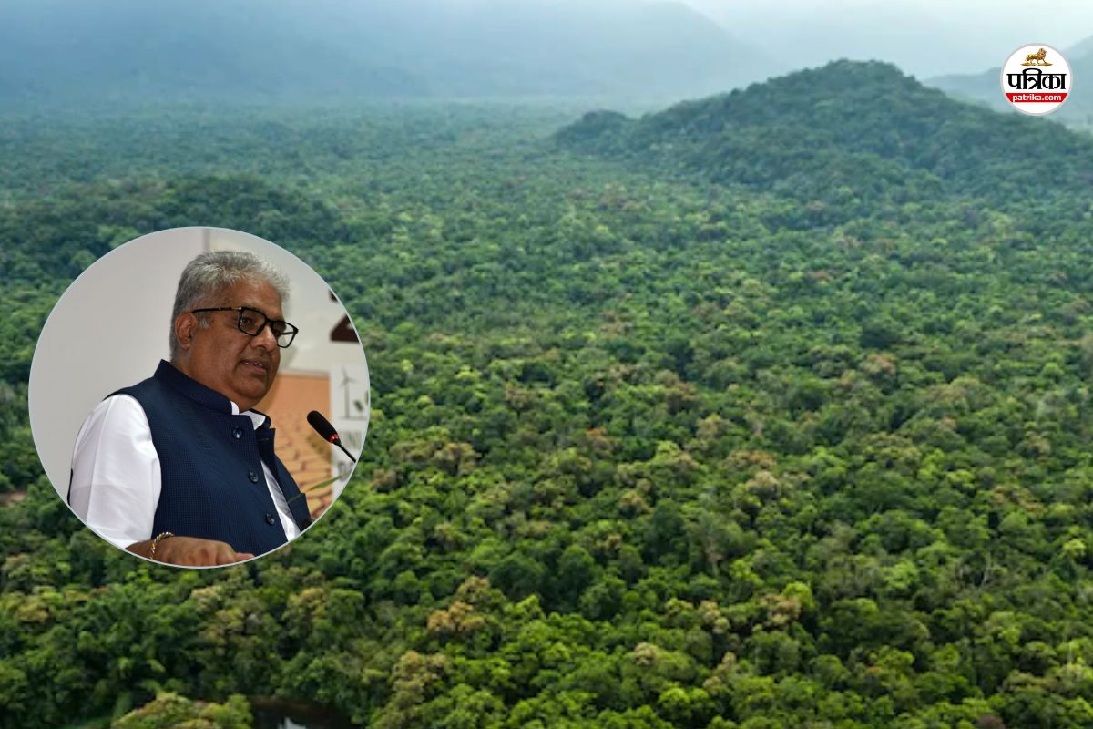 Aravalli Green Wall Project: राजस्थान के 19 जिलों में बनेगी अरावली की ...