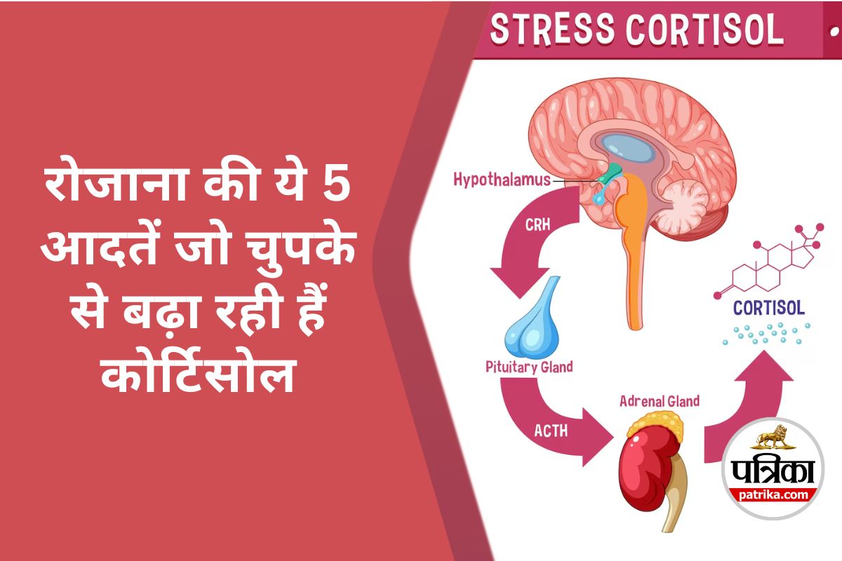 Bad Habits Increase Cortisol : इन 5 आदतों को आज से ही बदलना जरुरी ...