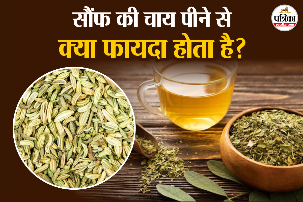 Fennel Tea Benefits: इम्युनिटी से लेकर बीपी कंट्रोल तक, बरसात में 1 कप ...