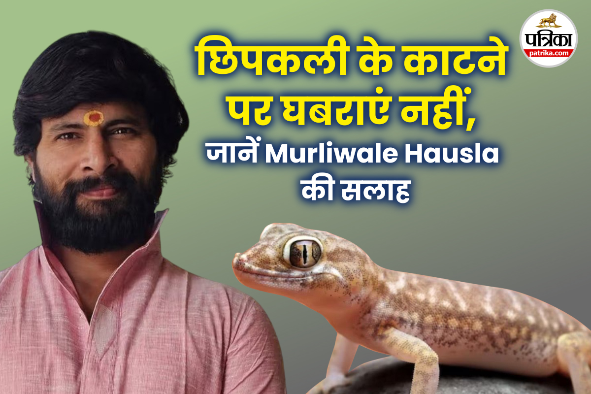 Lizard Bite Treatment: छिपकली के काटने पर अस्पताल जाएं या घरेलू इलाज ...