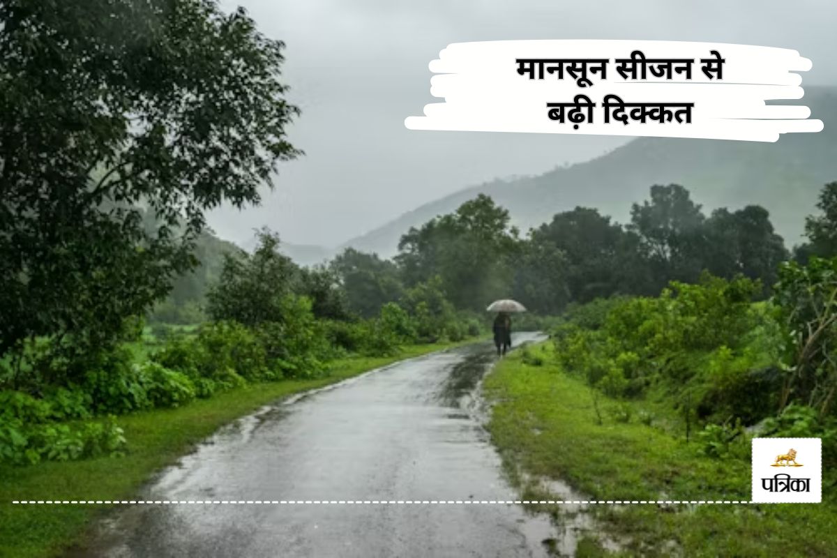 CG Monsoon 2025: मानसून सीजन से बढ़ी दिक्कत, हल्की बारिश से सब्जी बाजार में भर गया पानी ...