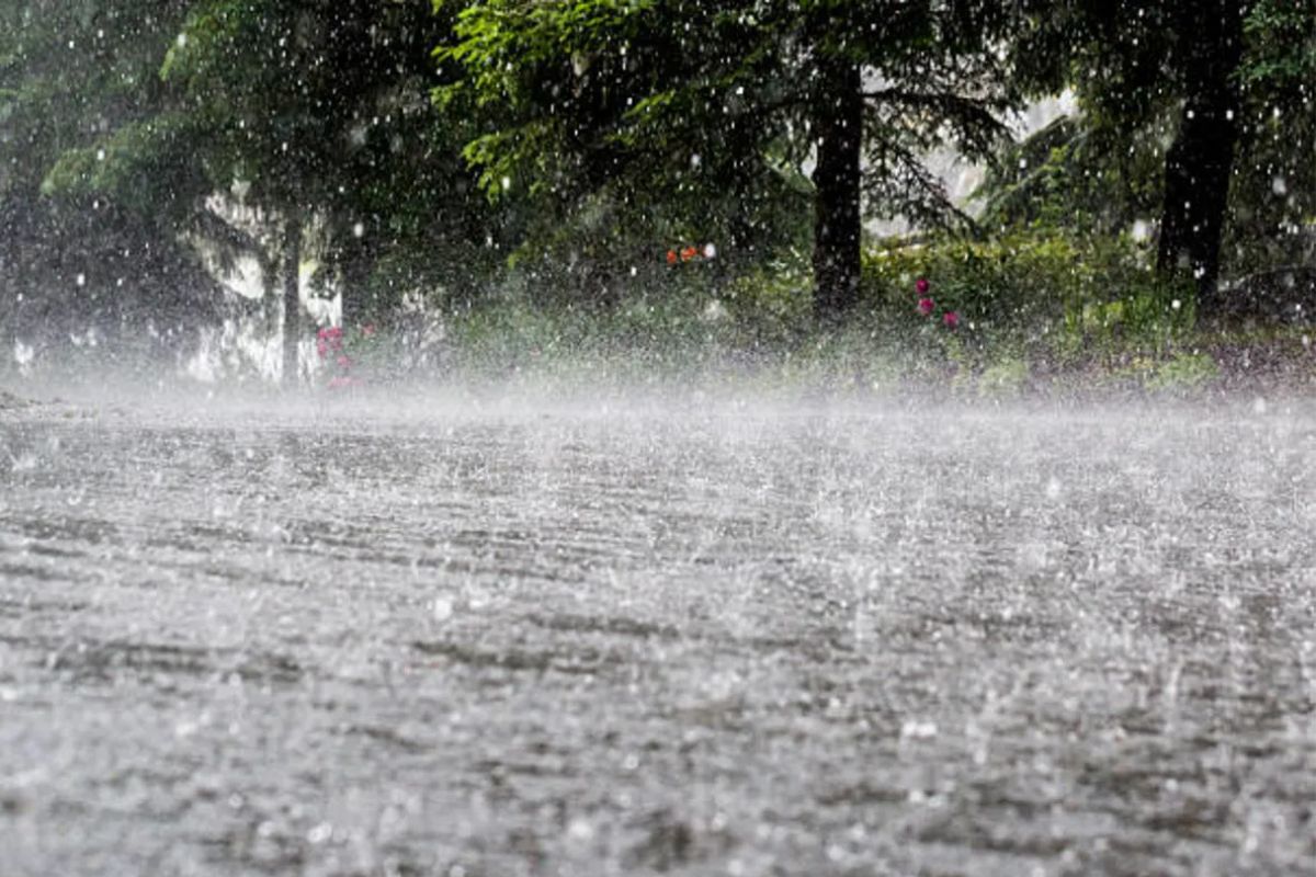 Heavy Rain Warning: मानसून ने पकड़ी रफ्तार, अगले 48 घंटे में भारी से अति भारी बारिश का राजस्थान ...