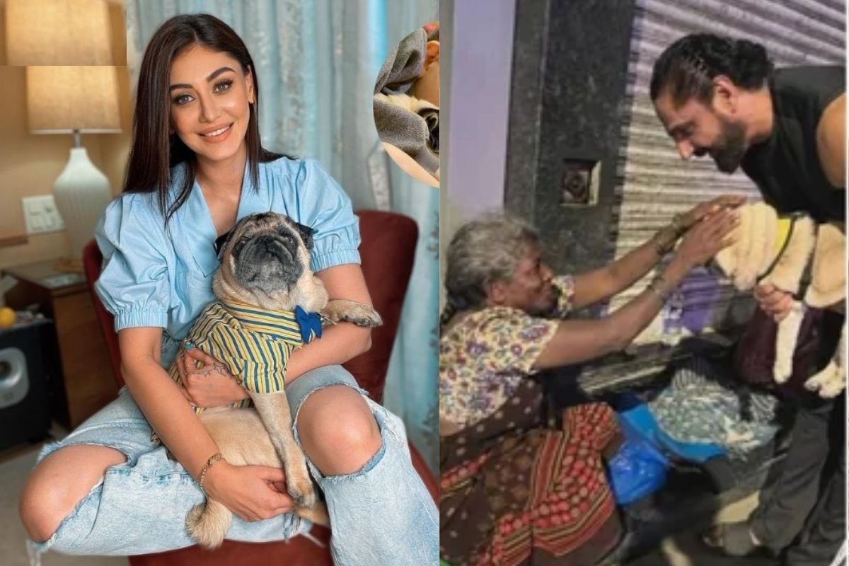 पराग ने शेफाली की मौत के बाद डॉग सिंबा का पहला वीडियो किया शेयर, बोले ...