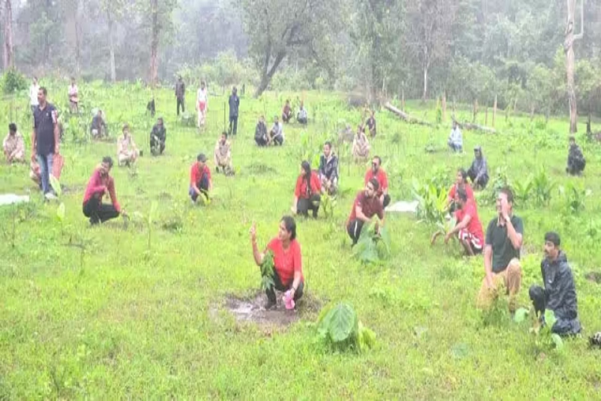 Patrika Harit Pradesh: धरती का हरित श्रृंगार करने जुटे लोग, बोले- आज ...