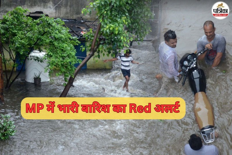 Red Alert in MP: मानसून ने मचाई तबाही, 23 जिलों में भारी बारिश के साथ बाढ़ का अलर्ट | Patrika ...
