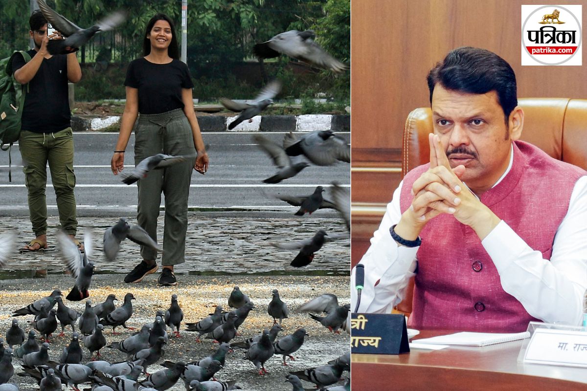 मुंबई में फिर खुलेंगे कबूतरखाने! CM फडणवीस बोले- कबूतरखानों को अचानक ...