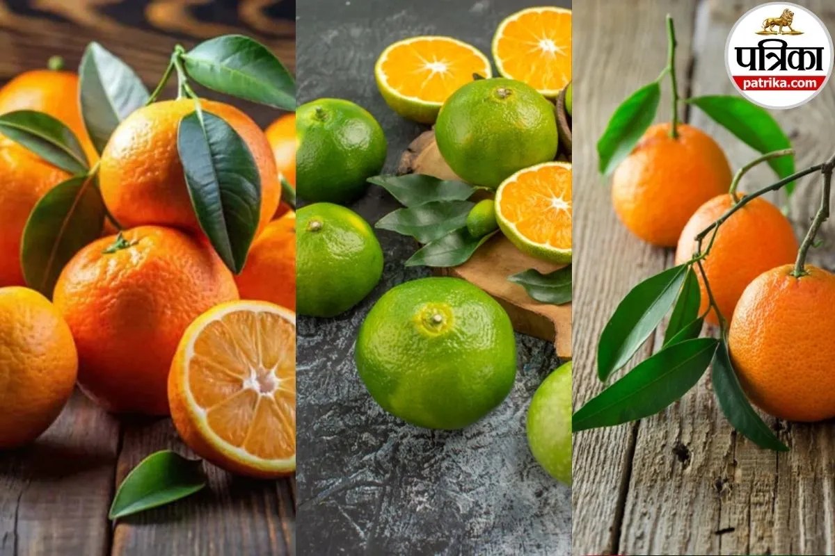 Orange Vs Mosambi Vs Kinnow: संतरा, मौसंबी या किन्नू, स्वाद और सेहत के ...
