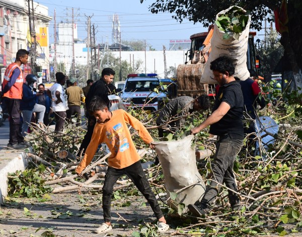फ्लाईओवर की भेंट चढ़ा पीपल, पत्तों की बोरियां लेकर जाते लोग देखें photos