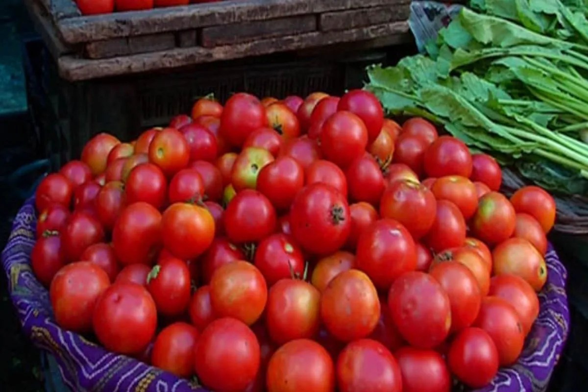 Subsidized Tomato Sales: सरकार कर रही सस्ते टमाटर बेचने की तैयारी, देश ...